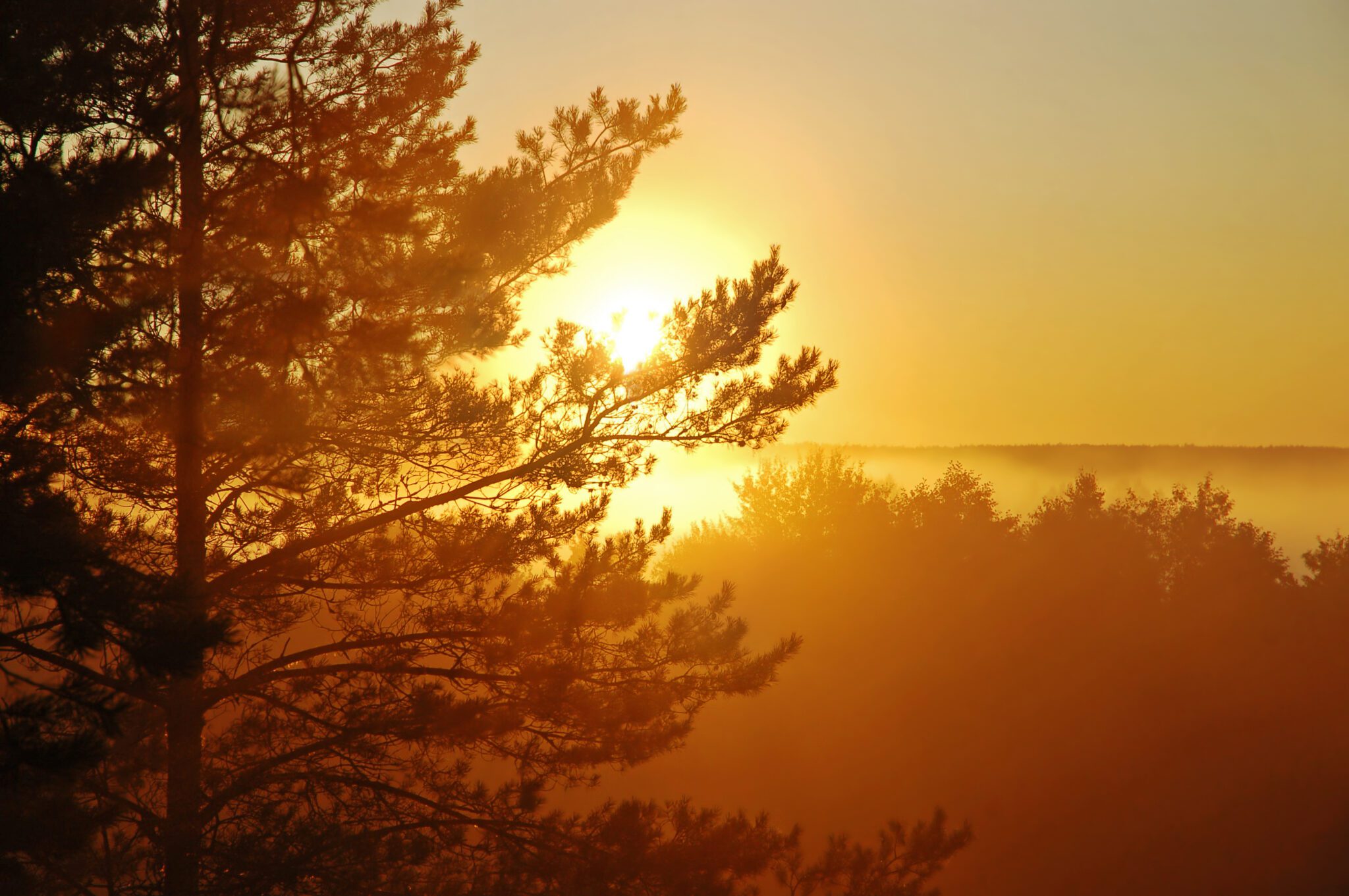 Contour Light: The Only Red Light Therapy Device You Need | Contour ...